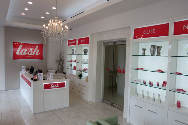 Amazing Lash Studio Franchise